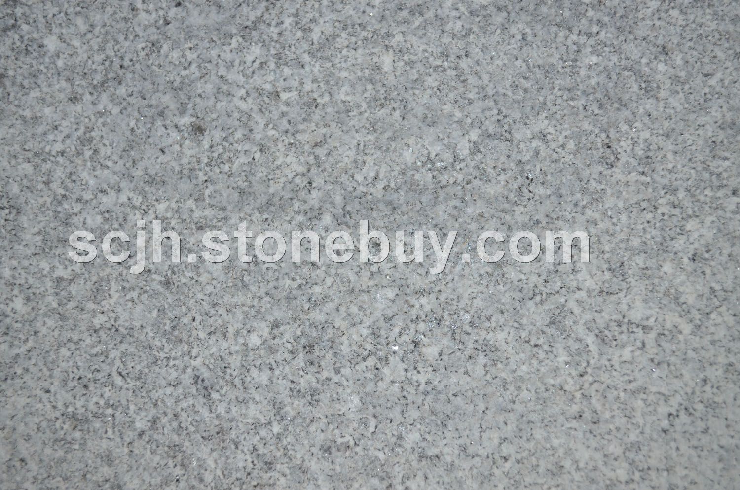 大连芝麻灰,芝麻灰和芝麻白,大连芝麻白(第10页)_大山谷图库